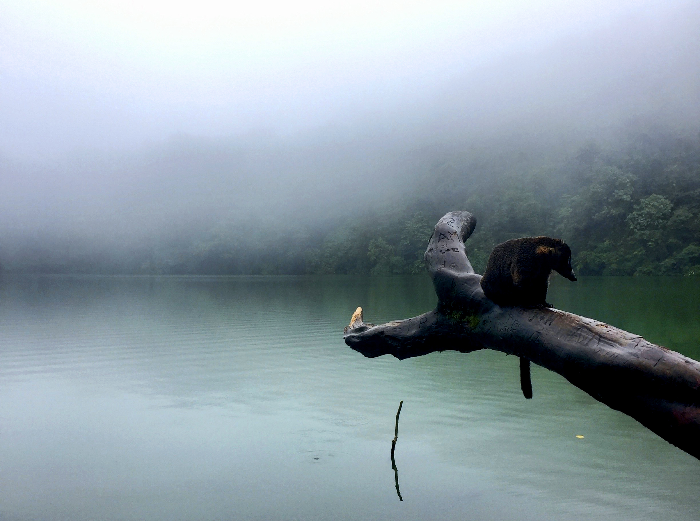 Hiking the Cerro Chato volcano – Learning from landscapes
